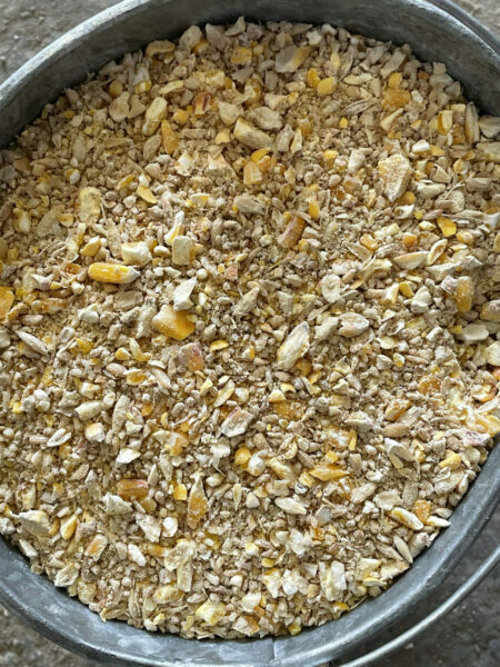 Show Lamb - Kaniksu Feeds