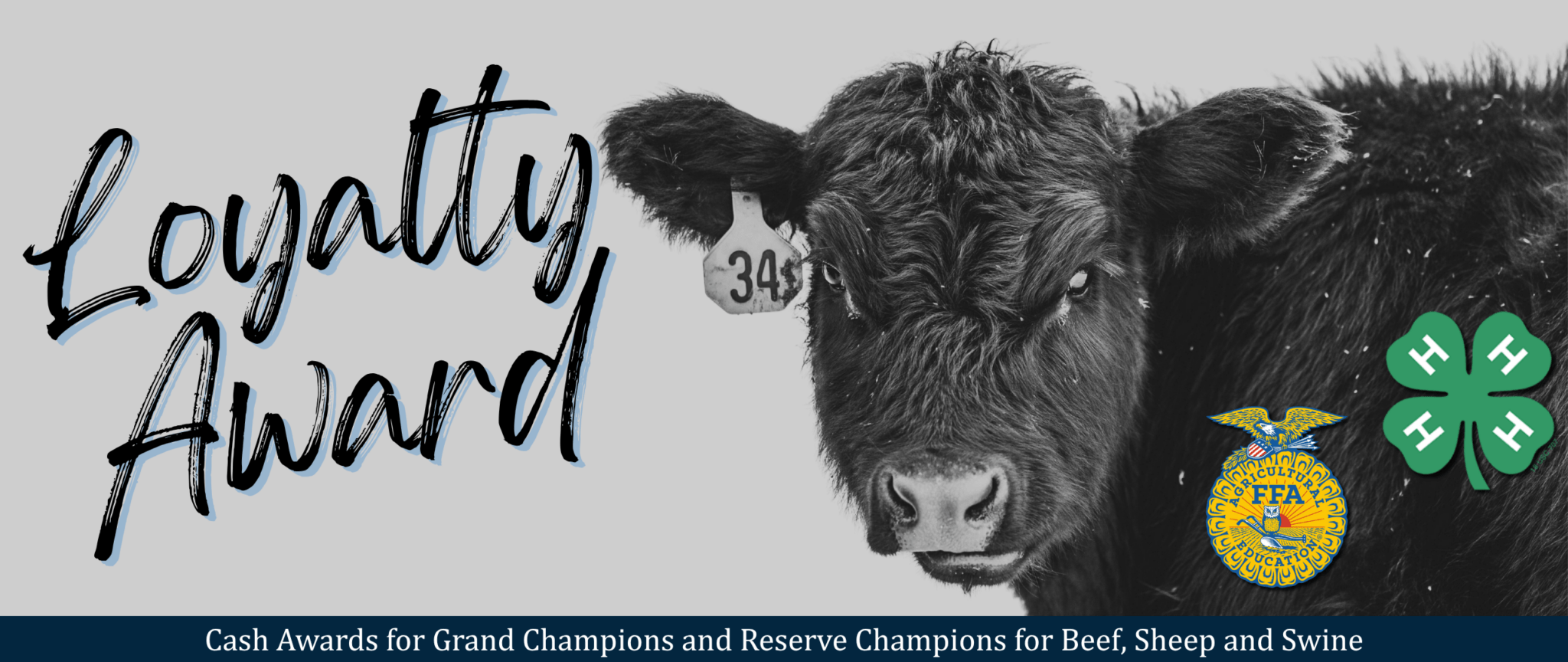 Kaniksu Feeds - Natural plant-based feeds for poultry and livestock